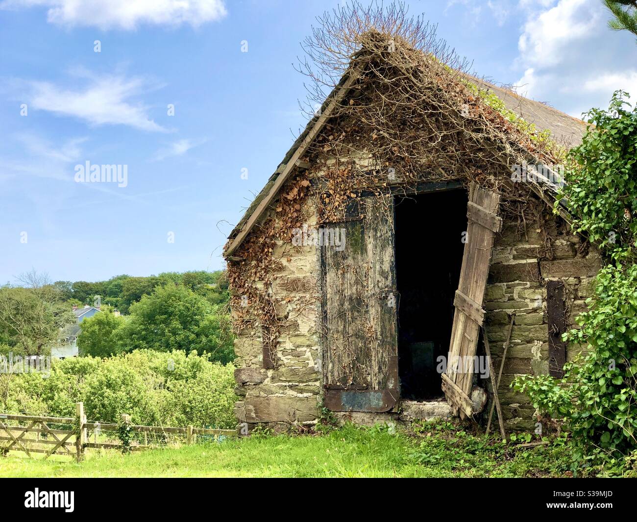 Store shed hi-res stock photography and images - Alamy