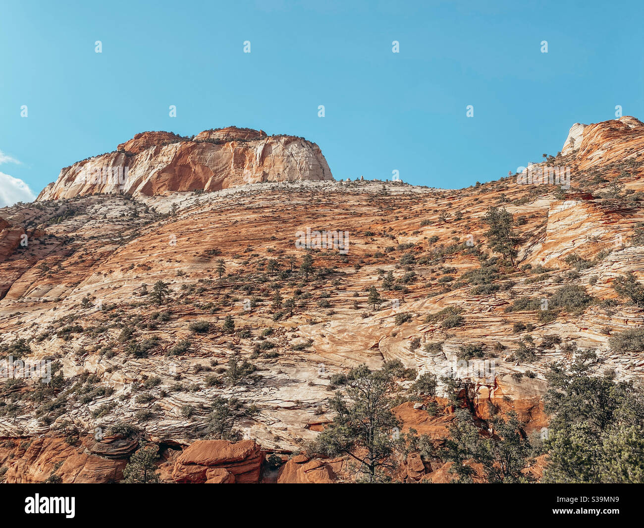 Red rocks trees blue sky hi-res stock photography and images - Alamy