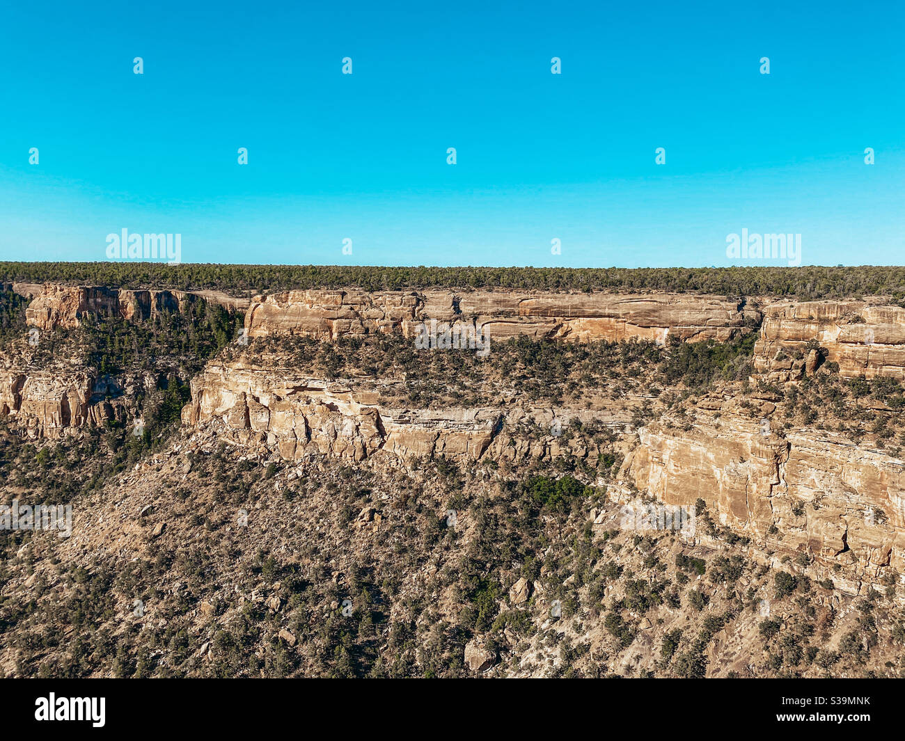 Horizon line trees hi-res stock photography and images - Alamy