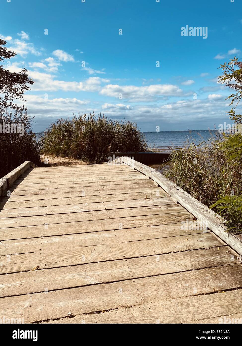 Terrapin park beach hi-res stock photography and images - Alamy