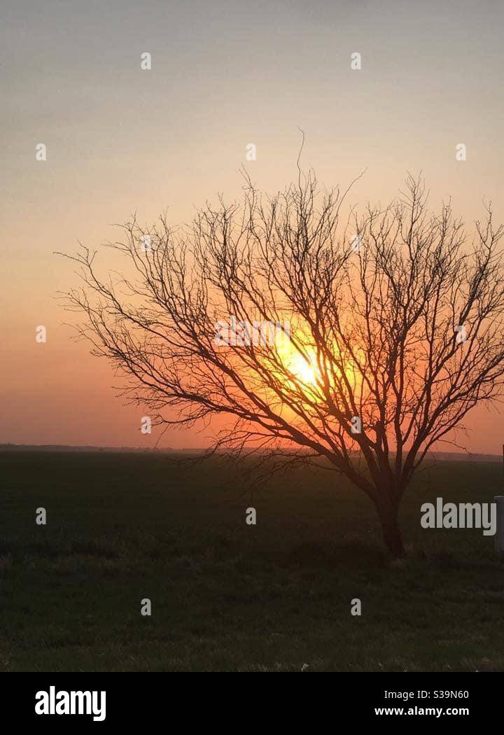 Texas sunsets hi-res stock photography and images - Alamy