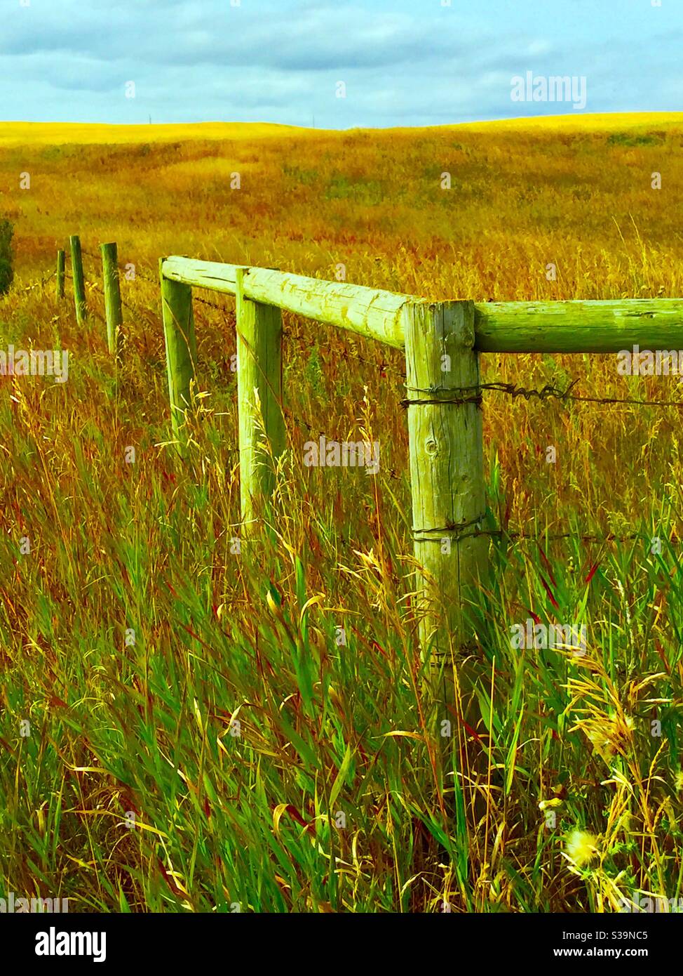 Rural alberta hi-res stock photography and images - Alamy