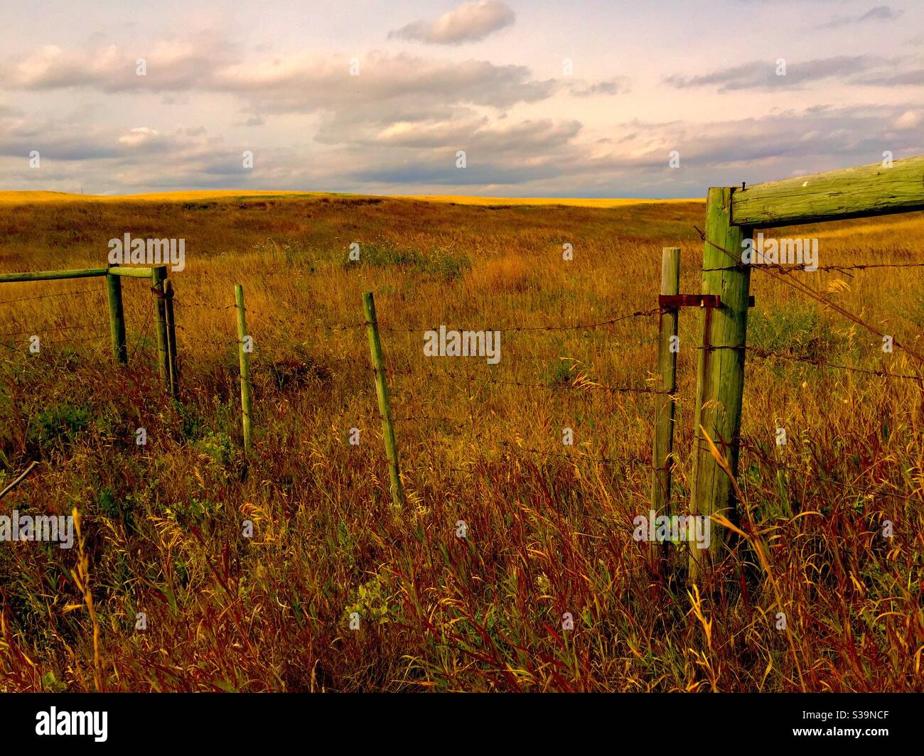 Rural alberta hi-res stock photography and images - Alamy