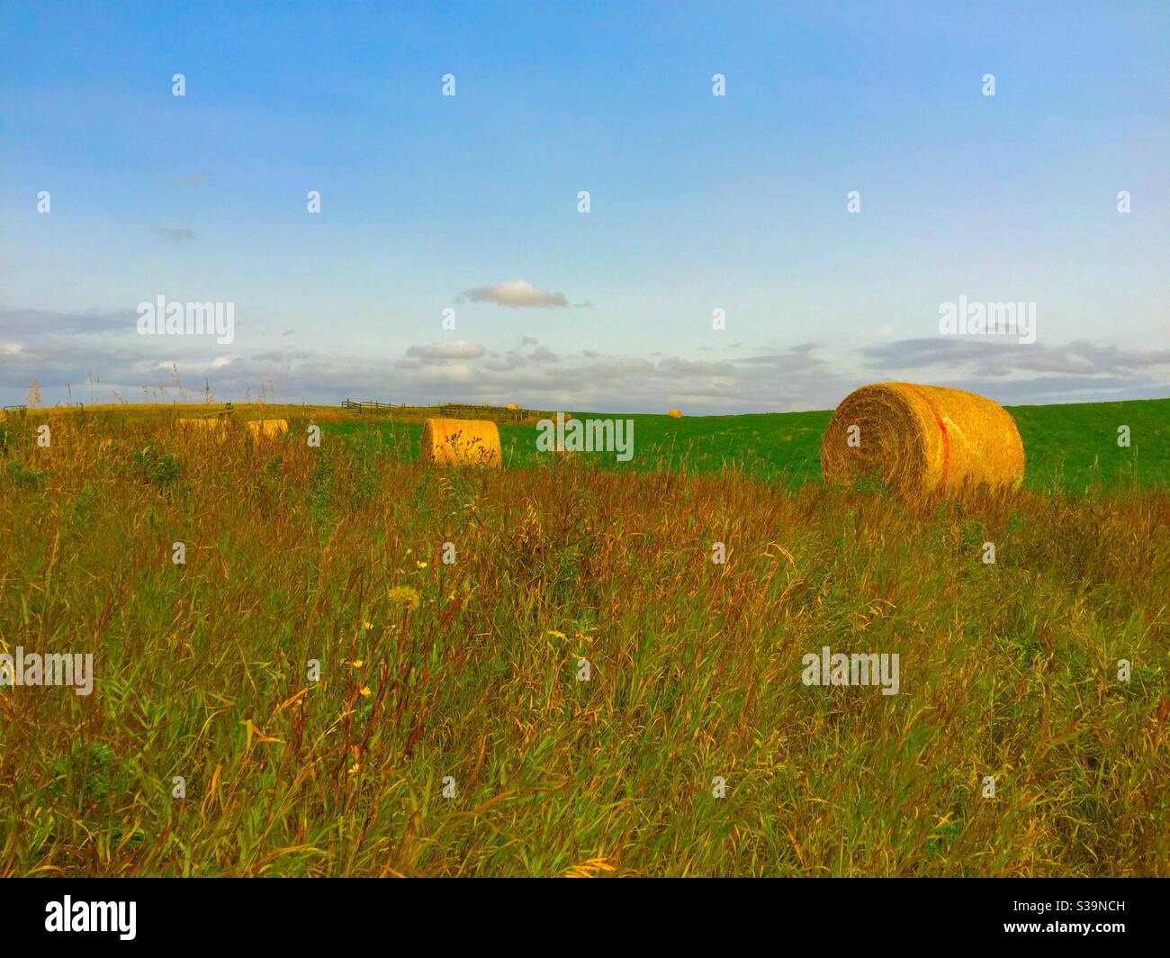 Rural alberta hi-res stock photography and images - Alamy