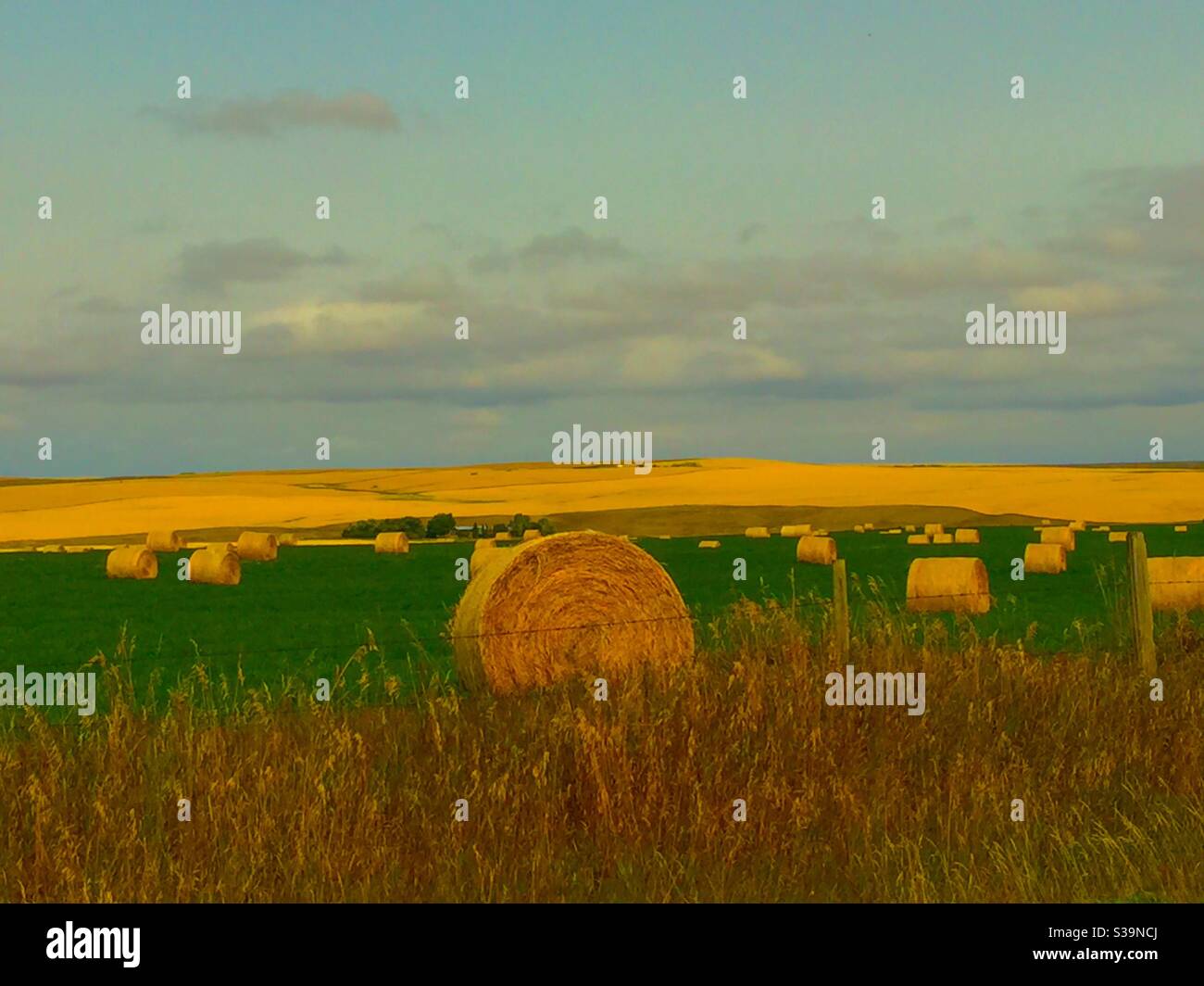 Rural alberta hi-res stock photography and images - Alamy