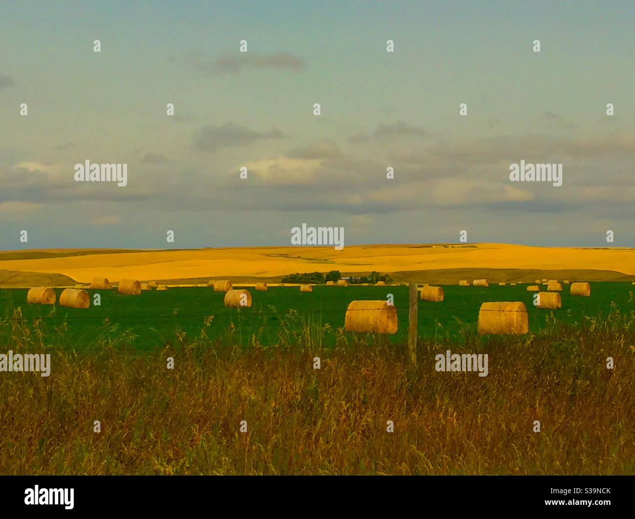 Rural alberta hi-res stock photography and images - Alamy