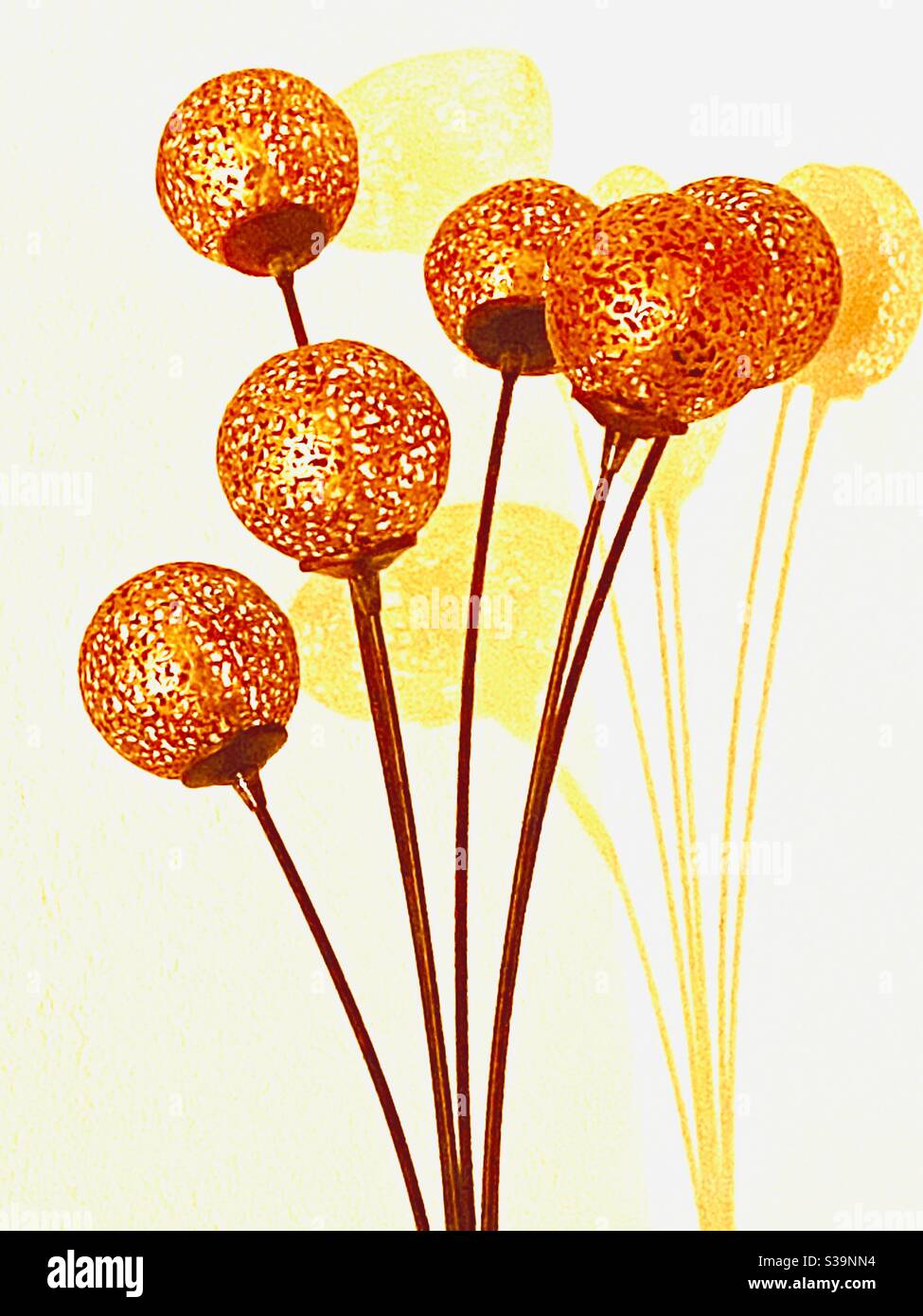 Shadow flowers hi-res stock photography and images - Alamy