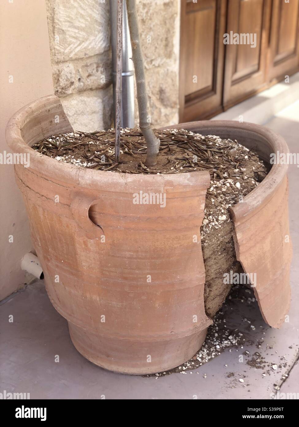 Broken pot with plant hi-res stock photography and images - Alamy