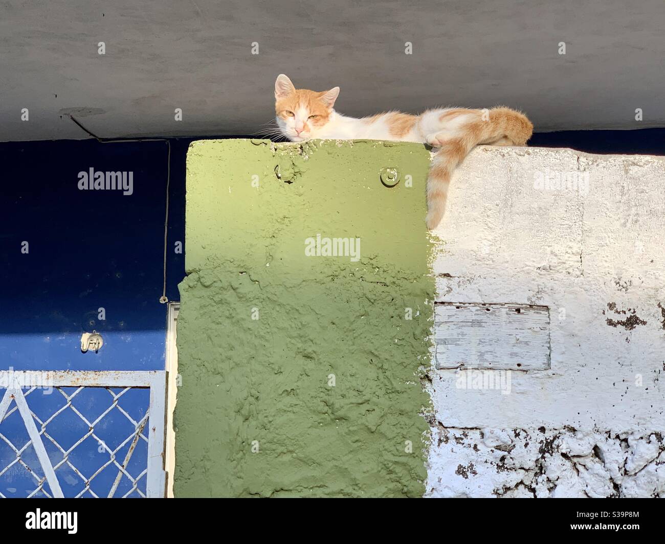 Resting wall hi-res stock photography and images - Alamy