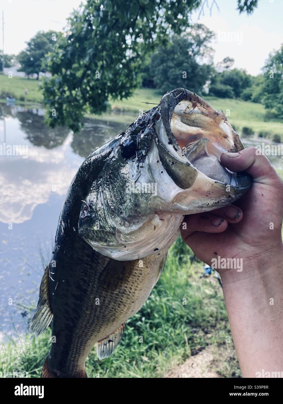 Largemouth bass fishing hi-res stock photography and images - Alamy