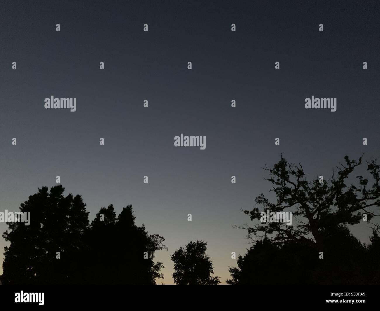 Night start hi-res stock photography and images - Alamy