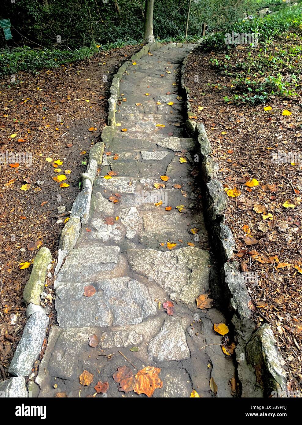 Trail of leaves hi-res stock photography and images - Alamy