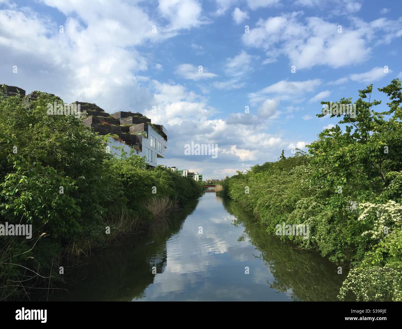 Green trees and bushes hi-res stock photography and images - Alamy
