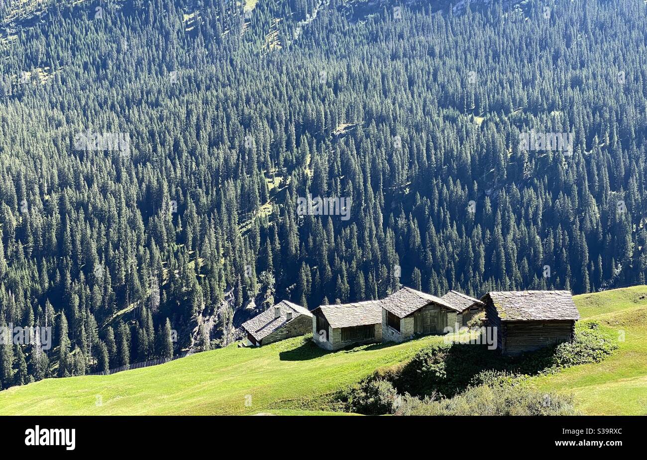 Houses in Swiss Alps Stock Photo - Alamy