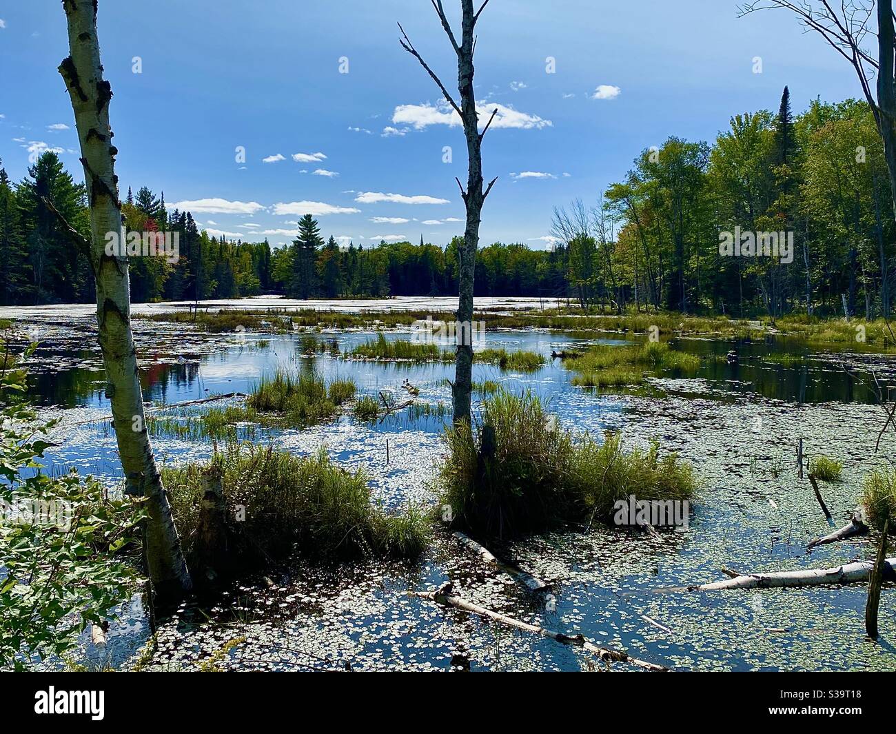 Beautiful ontario hi-res stock photography and images - Alamy