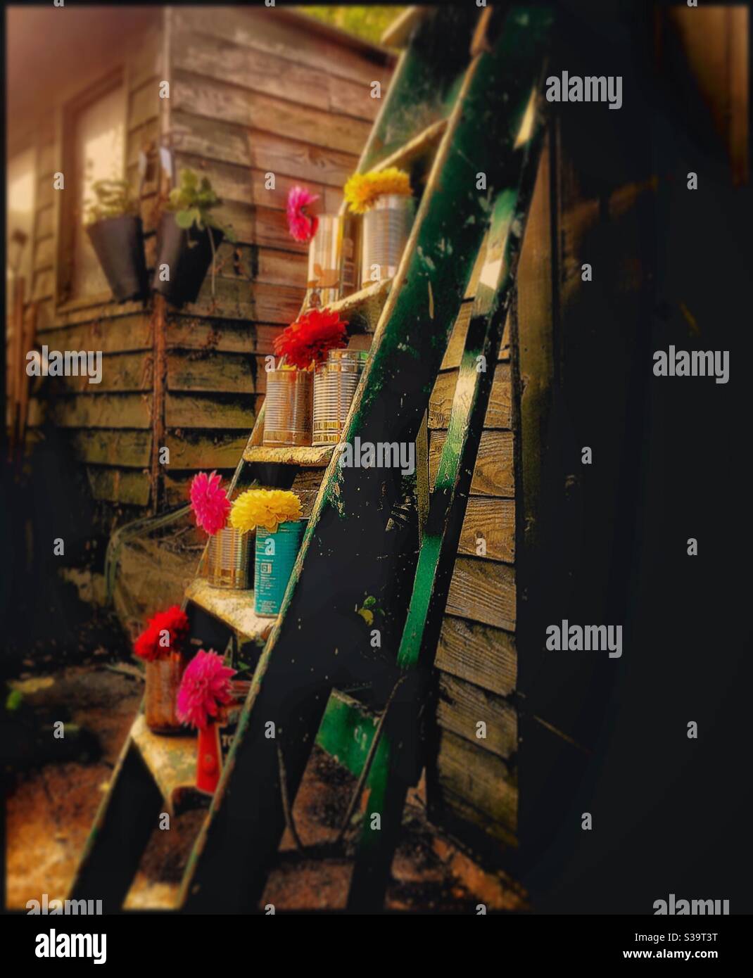 Wooden ladder ladder hi-res stock photography and images - Alamy