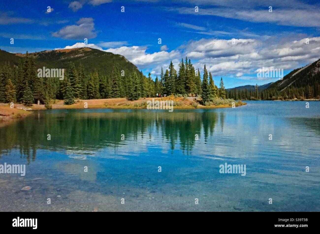 Forget-me-not Pond, Kananaskis country, Alberta, Canada, travelling ...