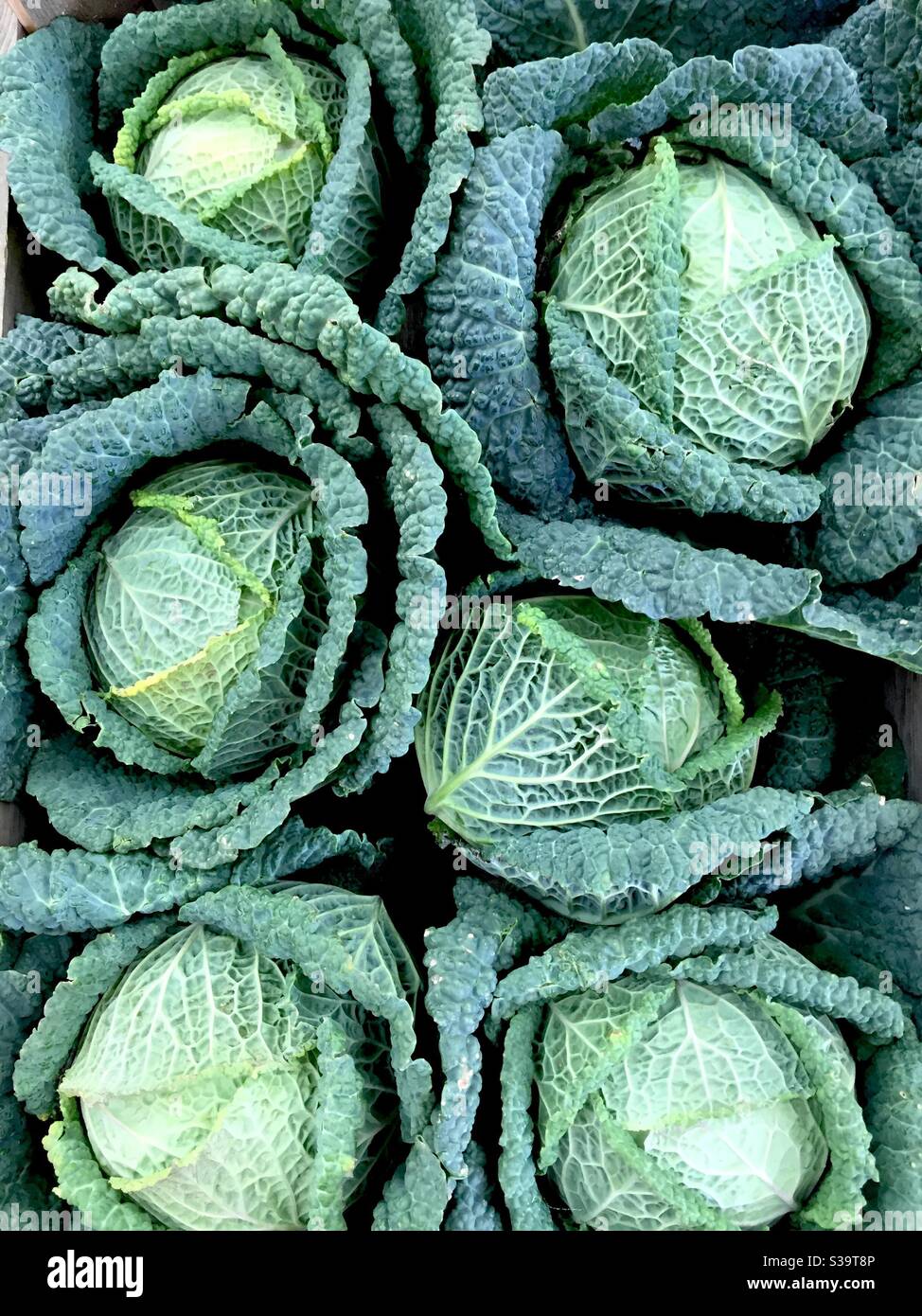 Cabbages stall hi-res stock photography and images - Alamy