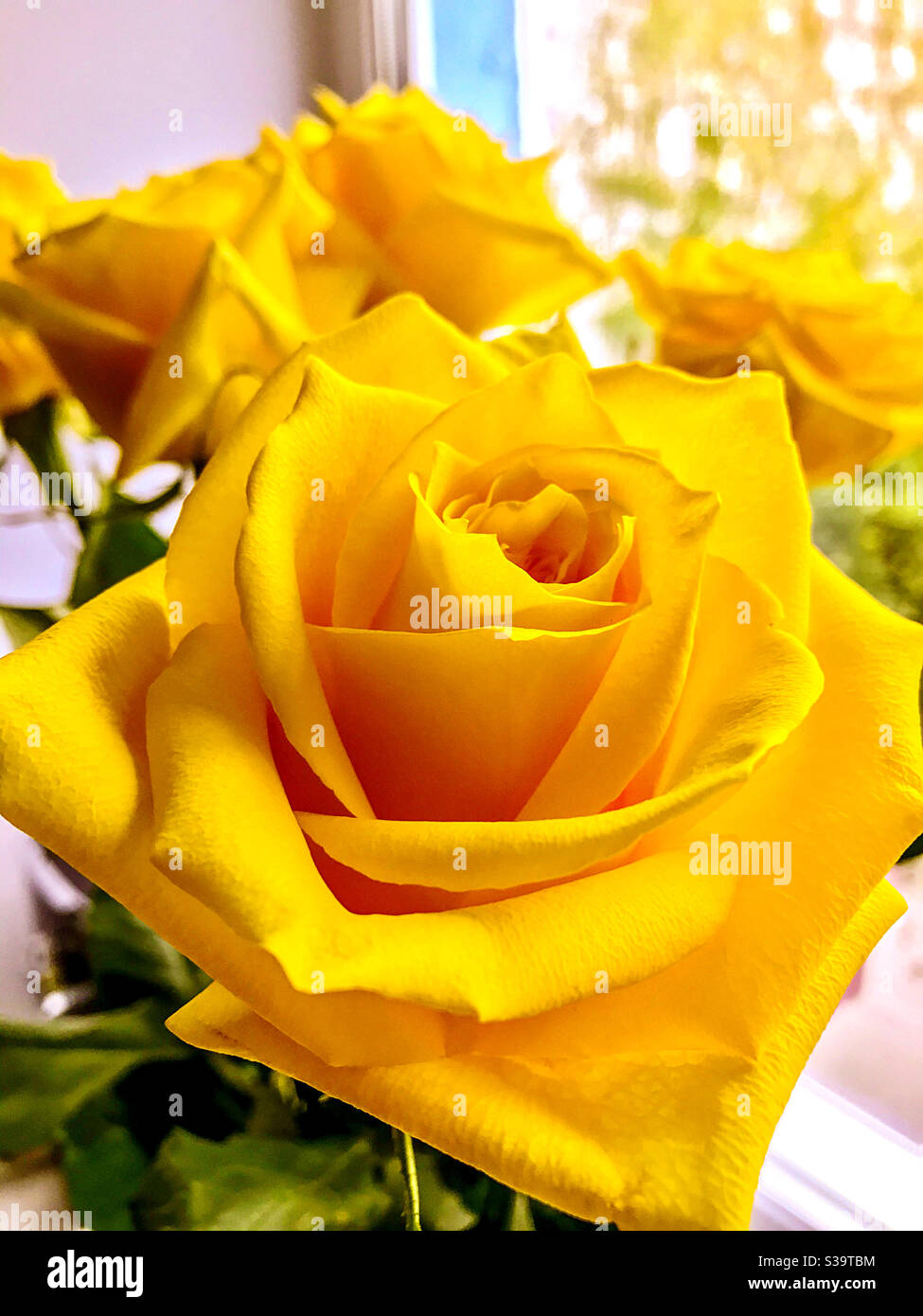 Big foreground hi-res stock photography and images - Alamy