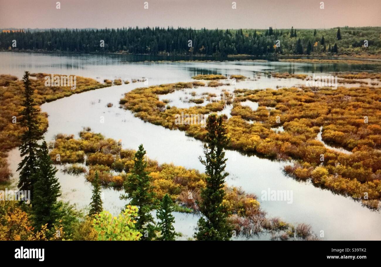 Alberta travels, Elbow River, Glenmore reservoir, autumn, fall colours ...