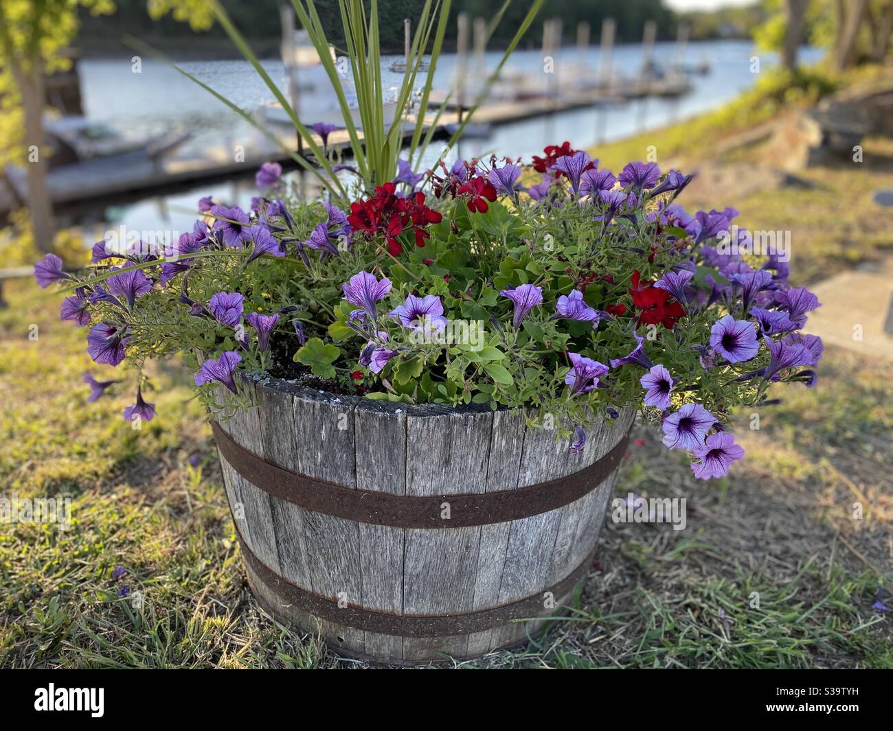 Riverside flowers hi-res stock photography and images - Alamy