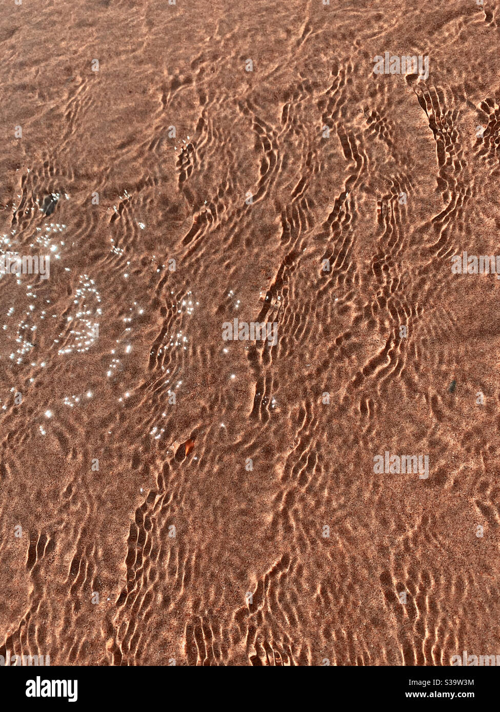 Patterns in the ocean water at the beach, tiny dots of sunlight dancing ...