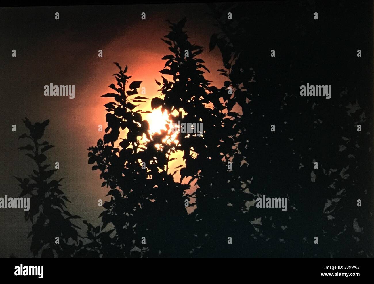 Canada september hi-res stock photography and images - Alamy