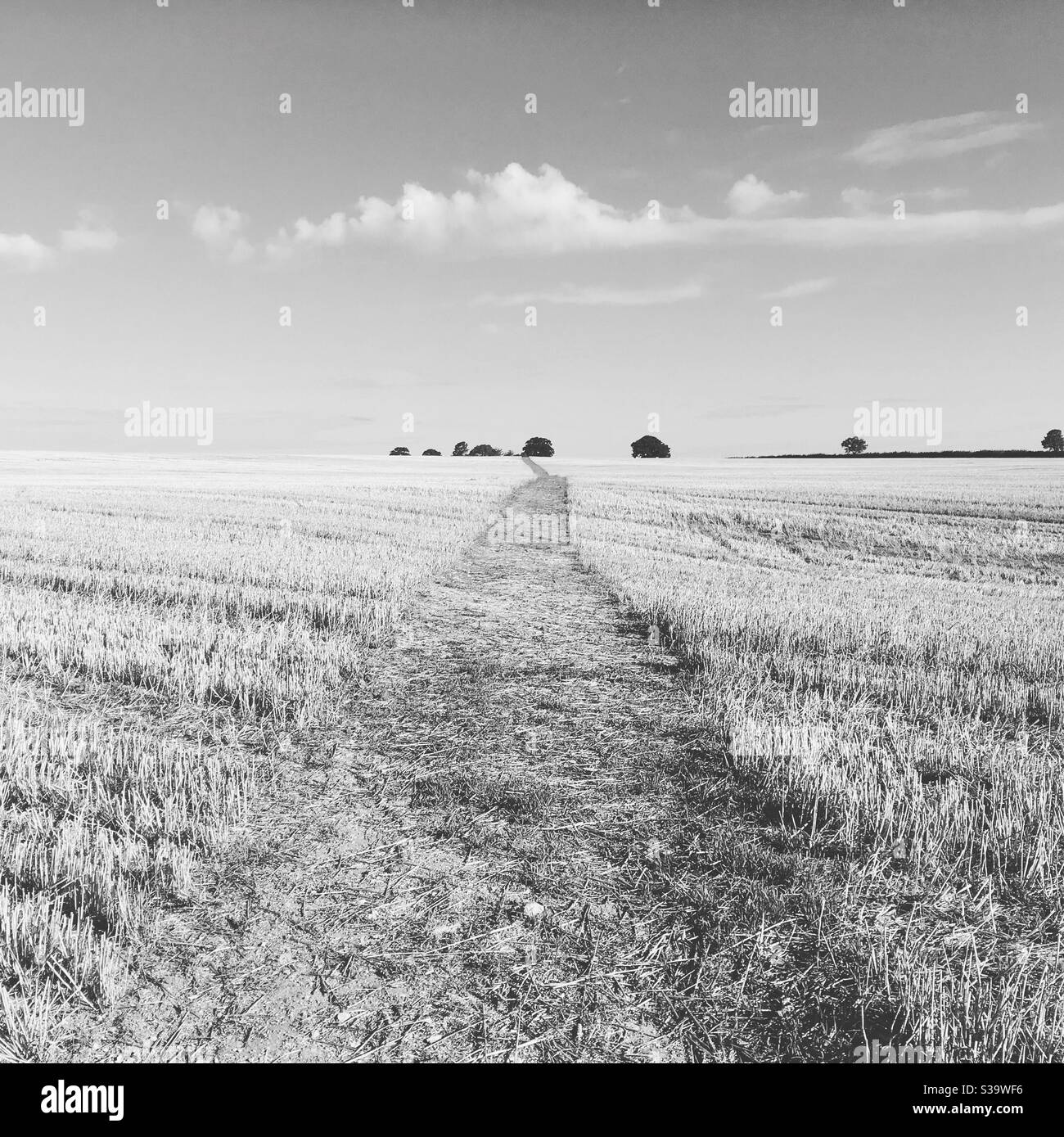 Follow your path hi-res stock photography and images - Alamy
