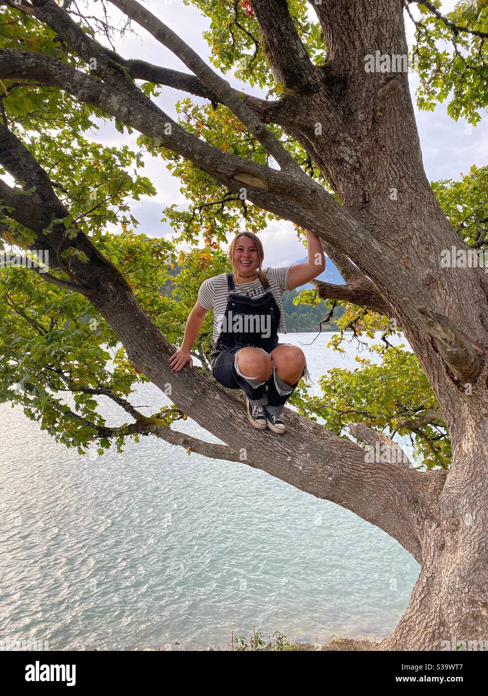Climbing a tree Stock Photo - Alamy