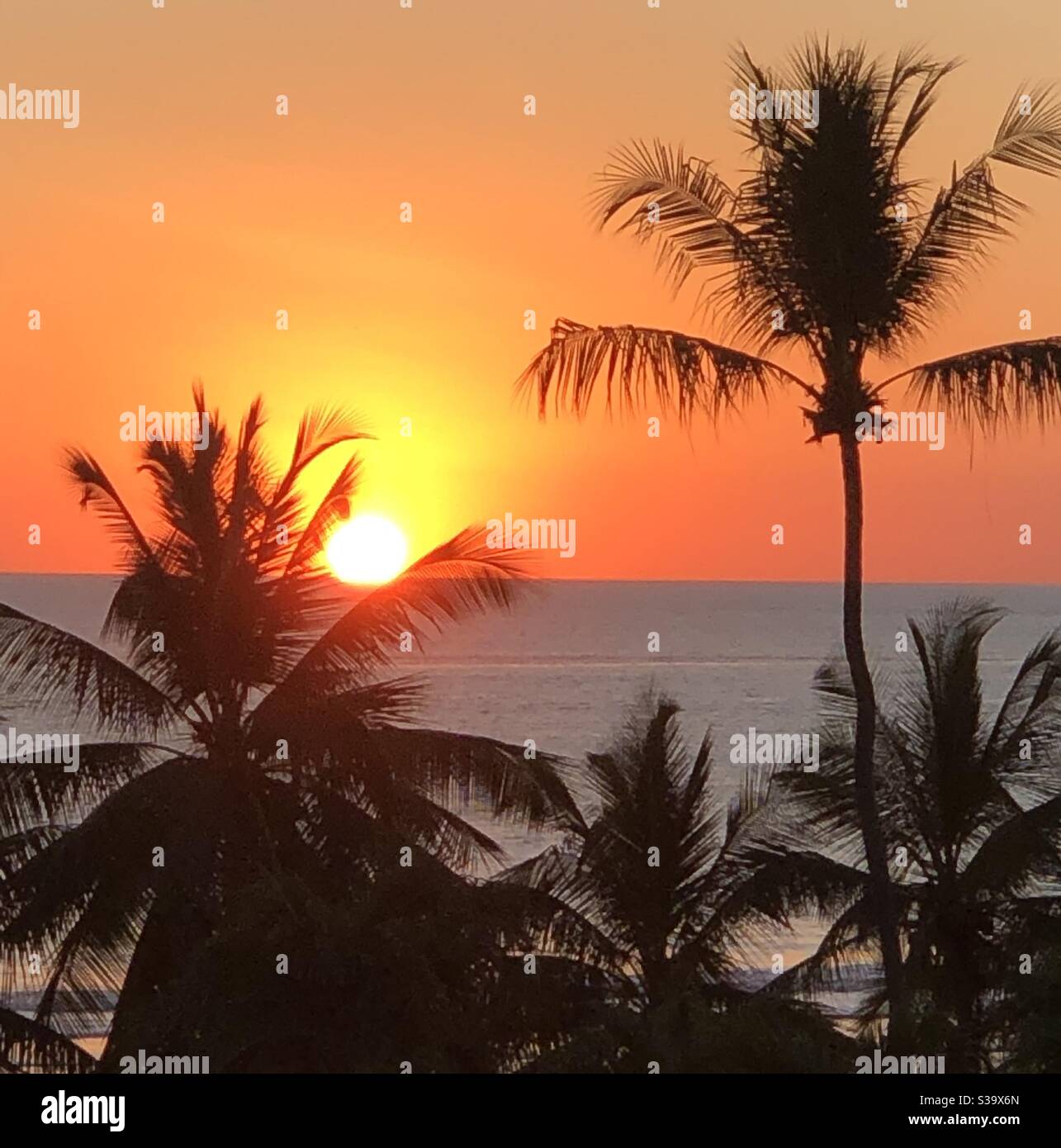 Tropical sunsets hi-res stock photography and images - Alamy