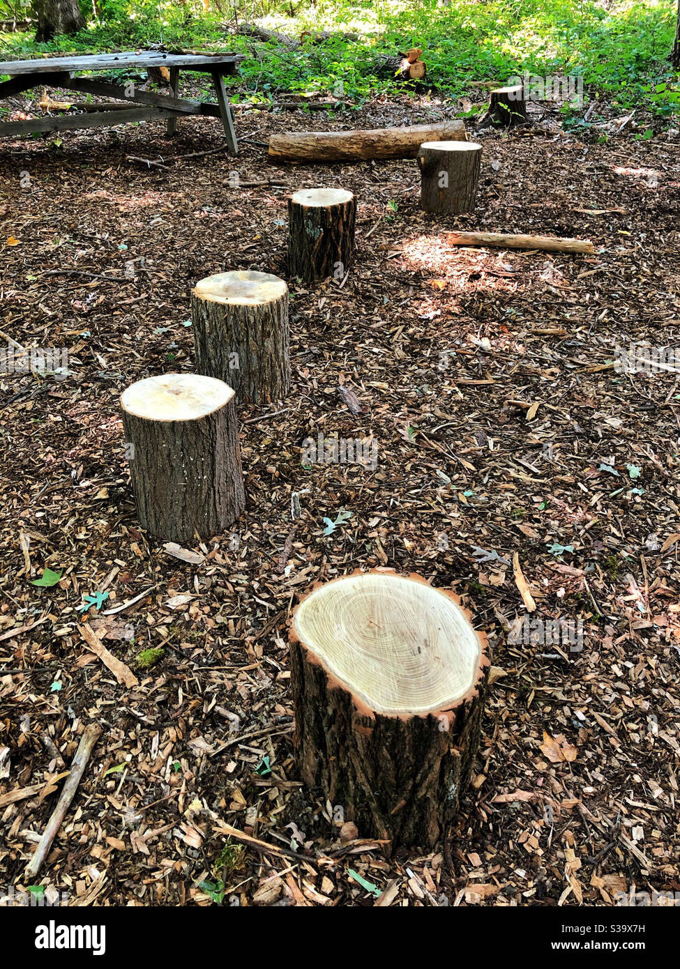 Wooden pit of fire hi-res stock photography and images - Alamy