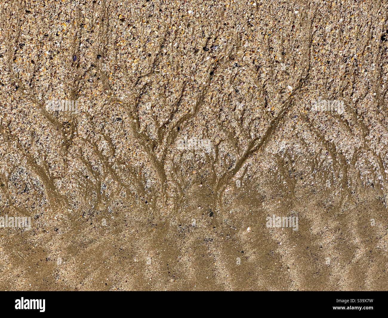 Patterns in the sand Stock Photo - Alamy
