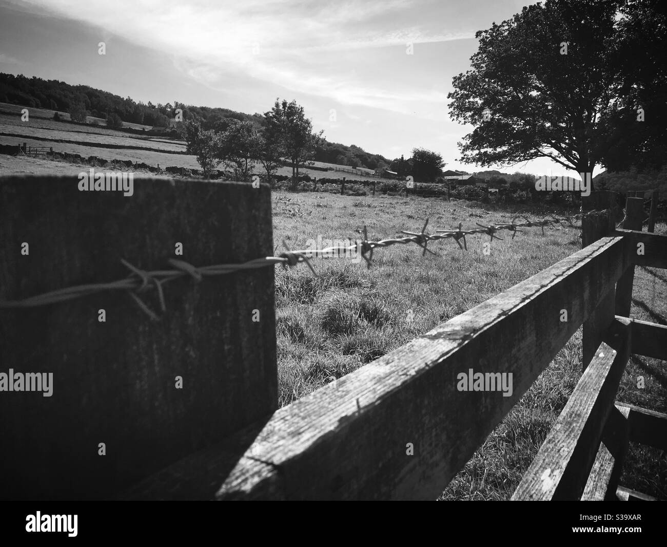 Overlooking a fence with barbed wire onto a beautiful open field and ...