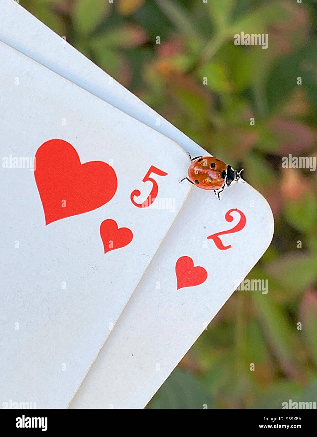 Number 52 hi-res stock photography and images - Alamy