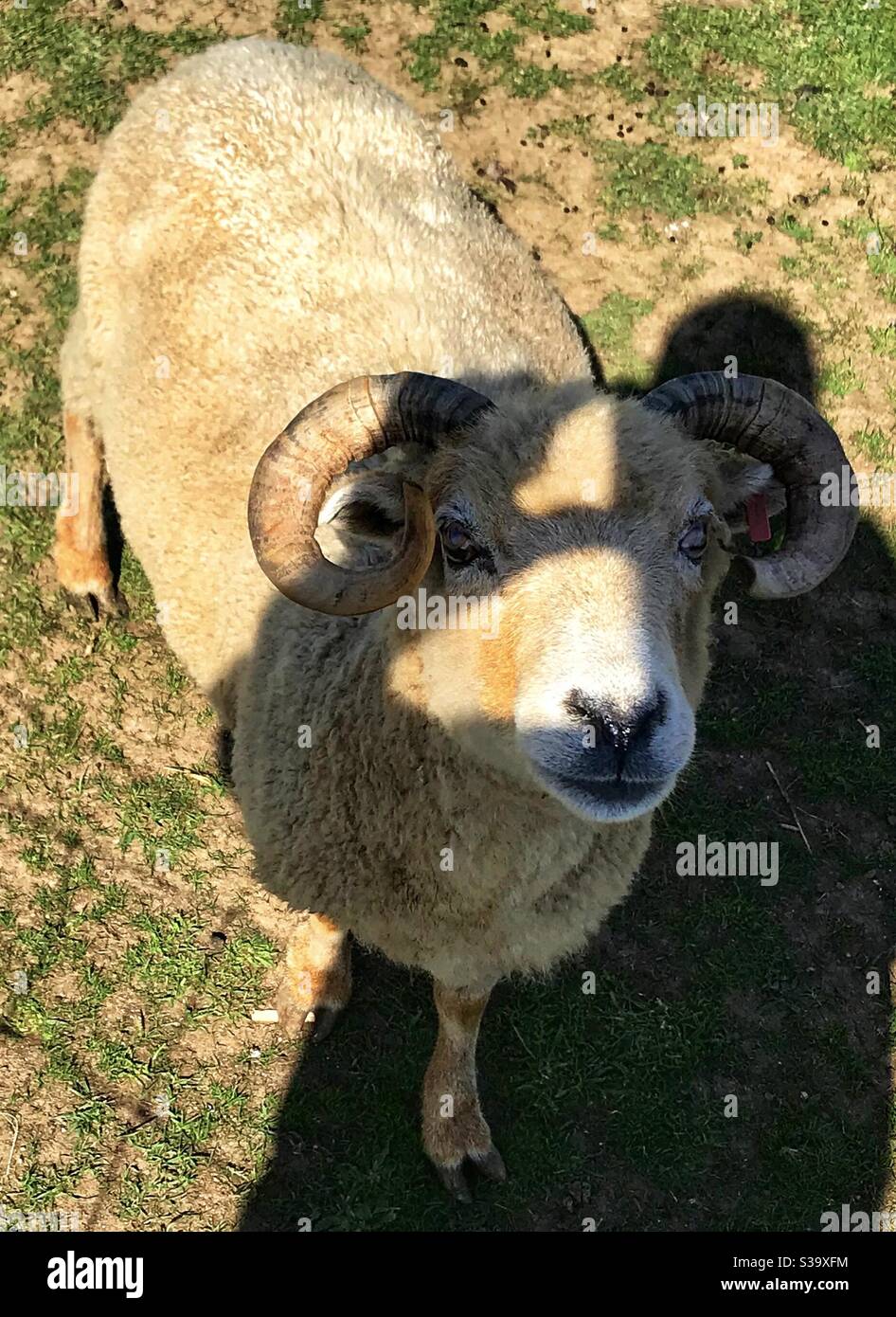 Portland wildlife hi-res stock photography and images - Alamy