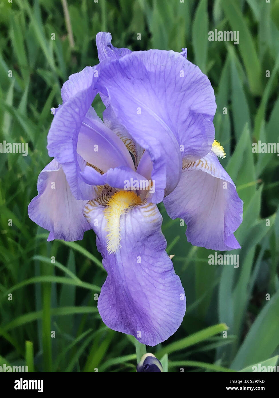 Full side view hi-res stock photography and images - Alamy