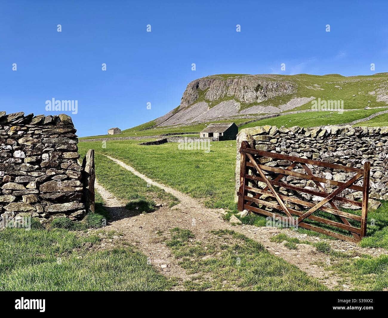 Gate open field hi-res stock photography and images - Alamy