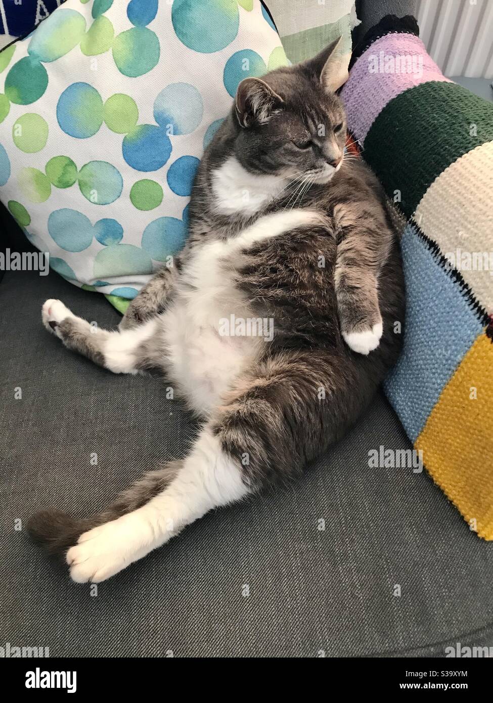 Relaxed session hi-res stock photography and images - Alamy