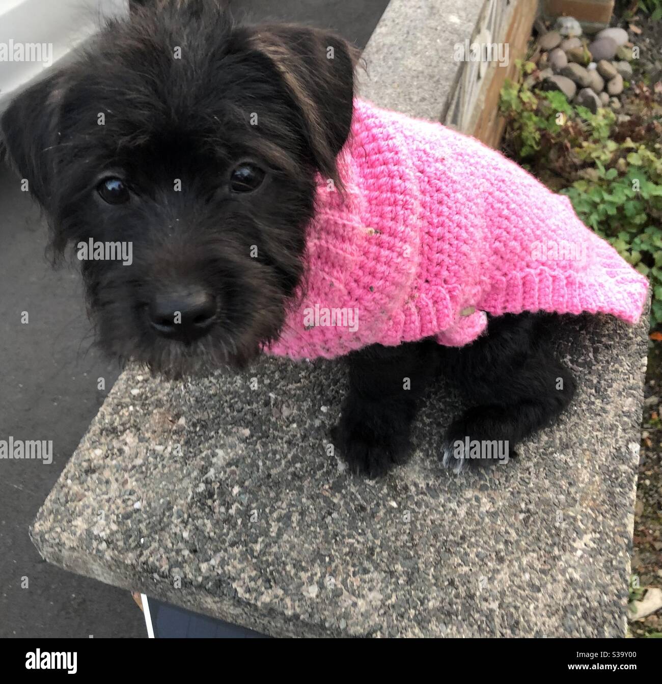 Too big jumper hi-res stock photography and images - Alamy