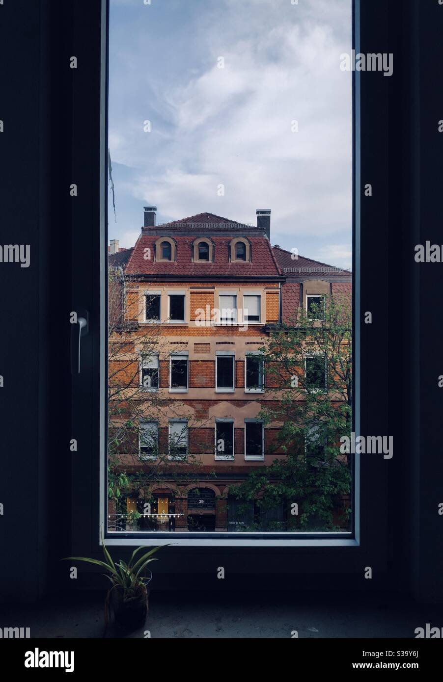 Plant perspective hi-res stock photography and images - Alamy