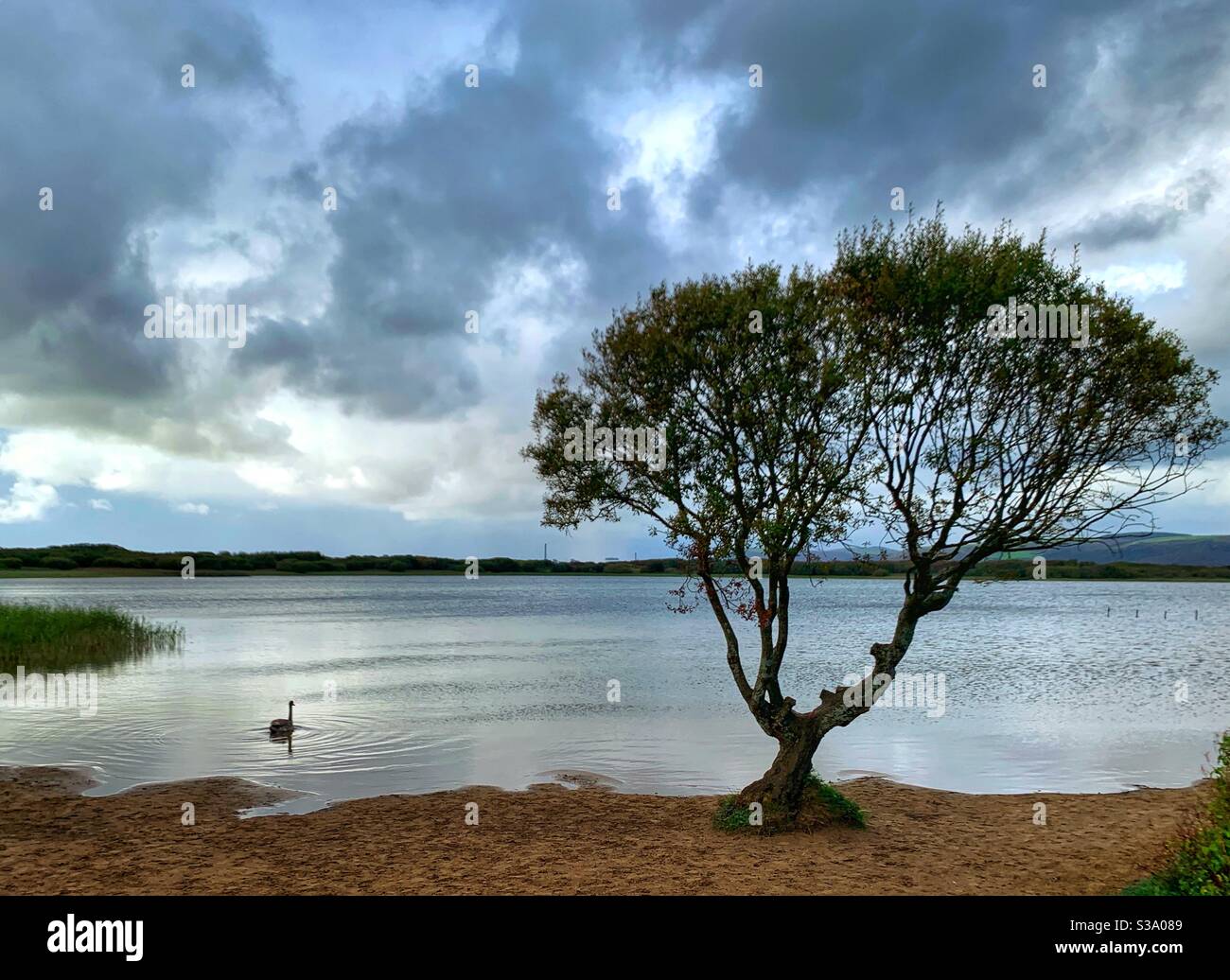 Kenfig pool hi-res stock photography and images - Alamy