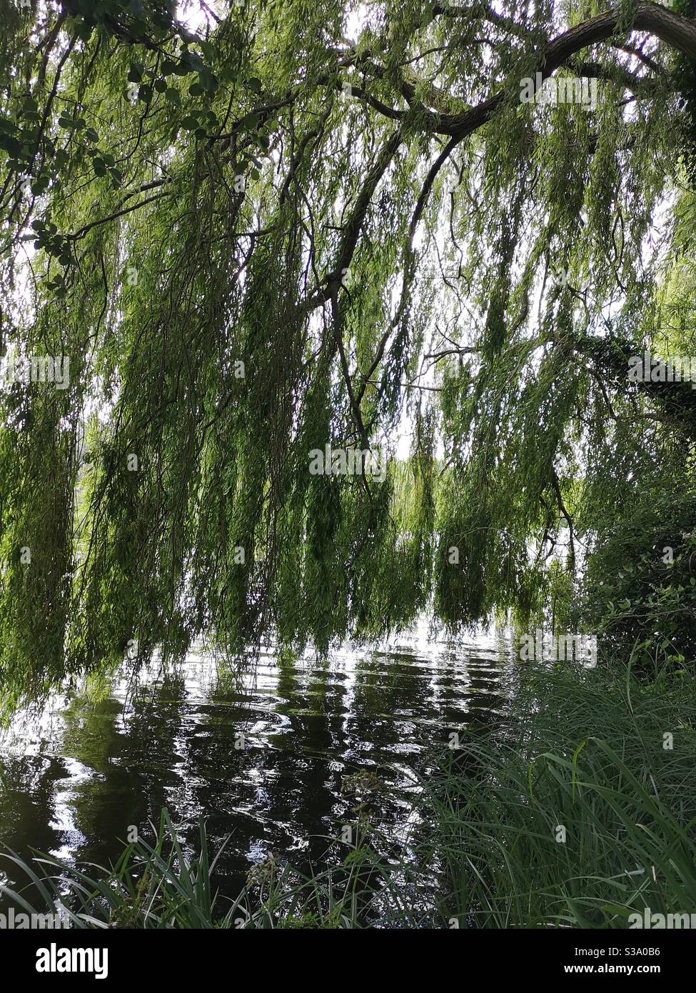 Reflection on a river hi-res stock photography and images - Alamy