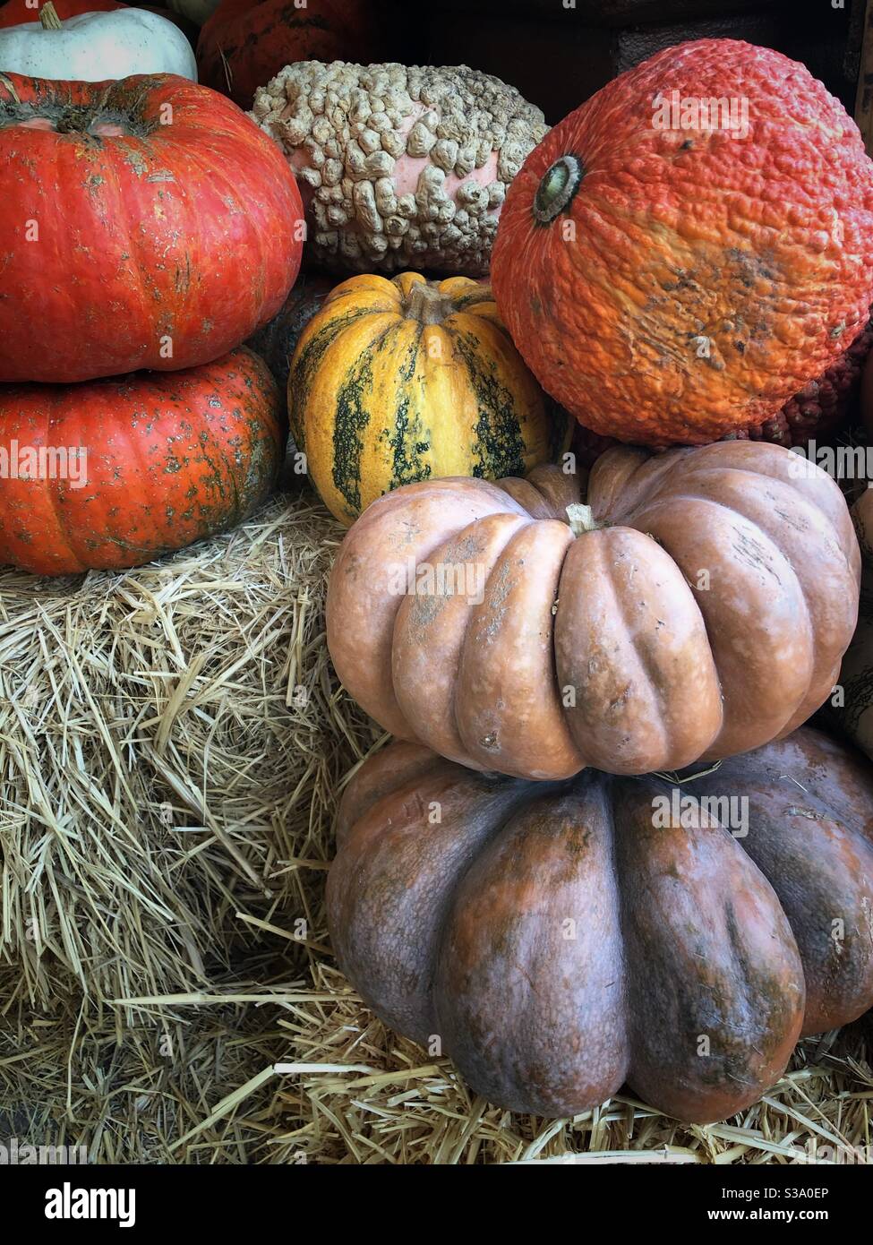 Announcing arrival hi-res stock photography and images - Alamy