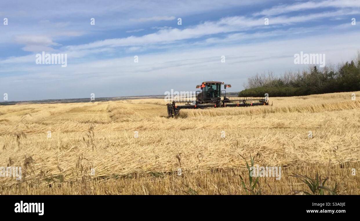 Swather hi-res stock photography and images - Alamy
