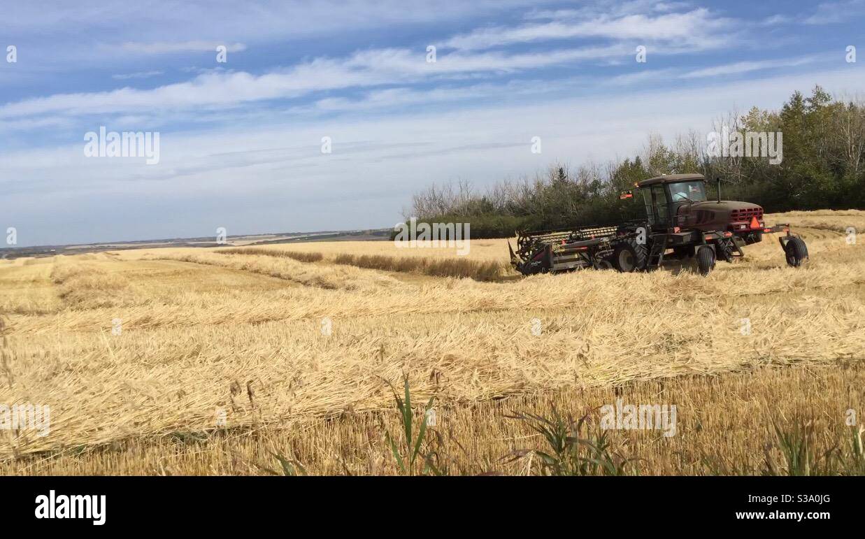 Swather hi-res stock photography and images - Alamy