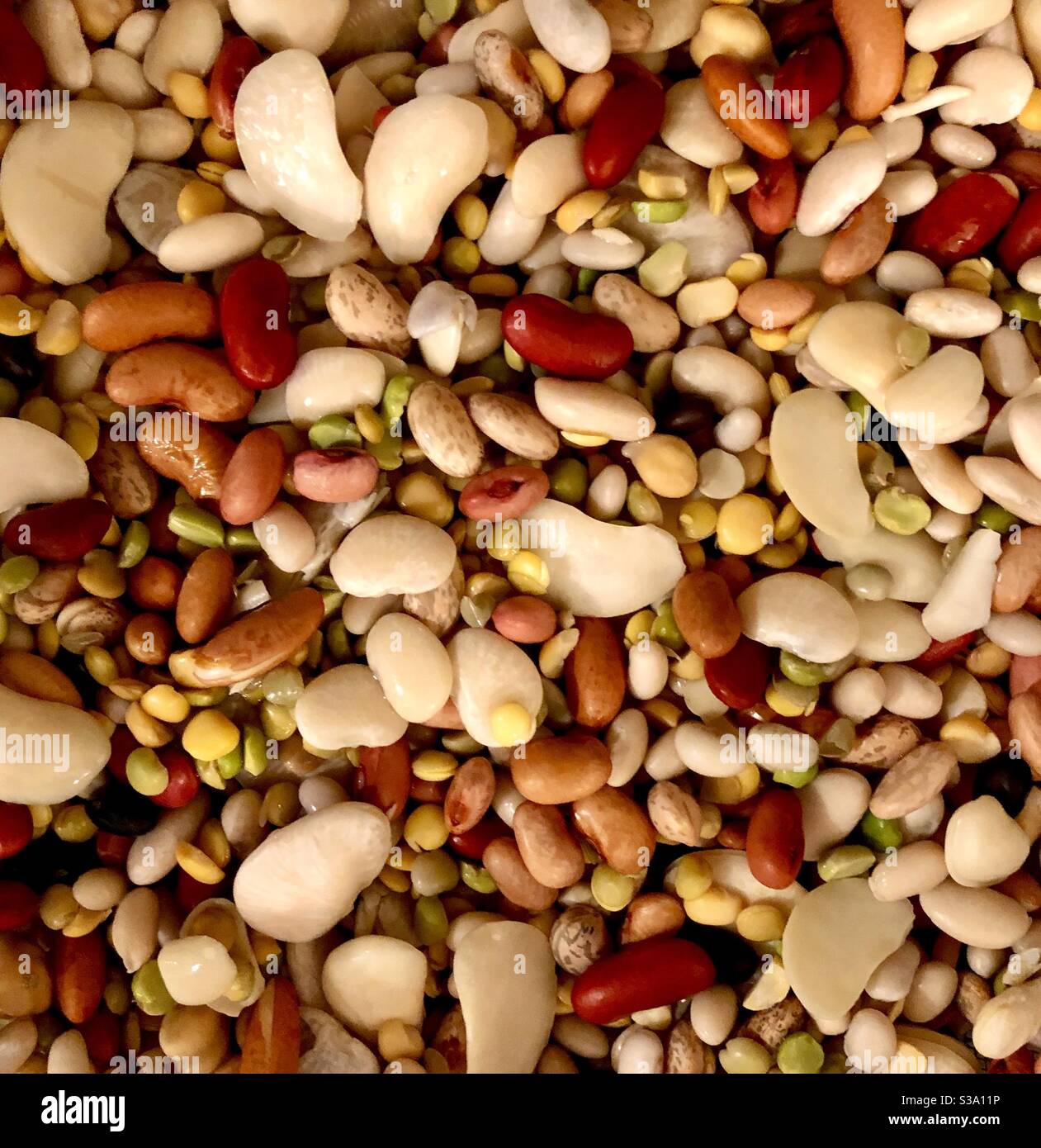 Close up of a variety of 15 types of dried beans for cooking Stock ...