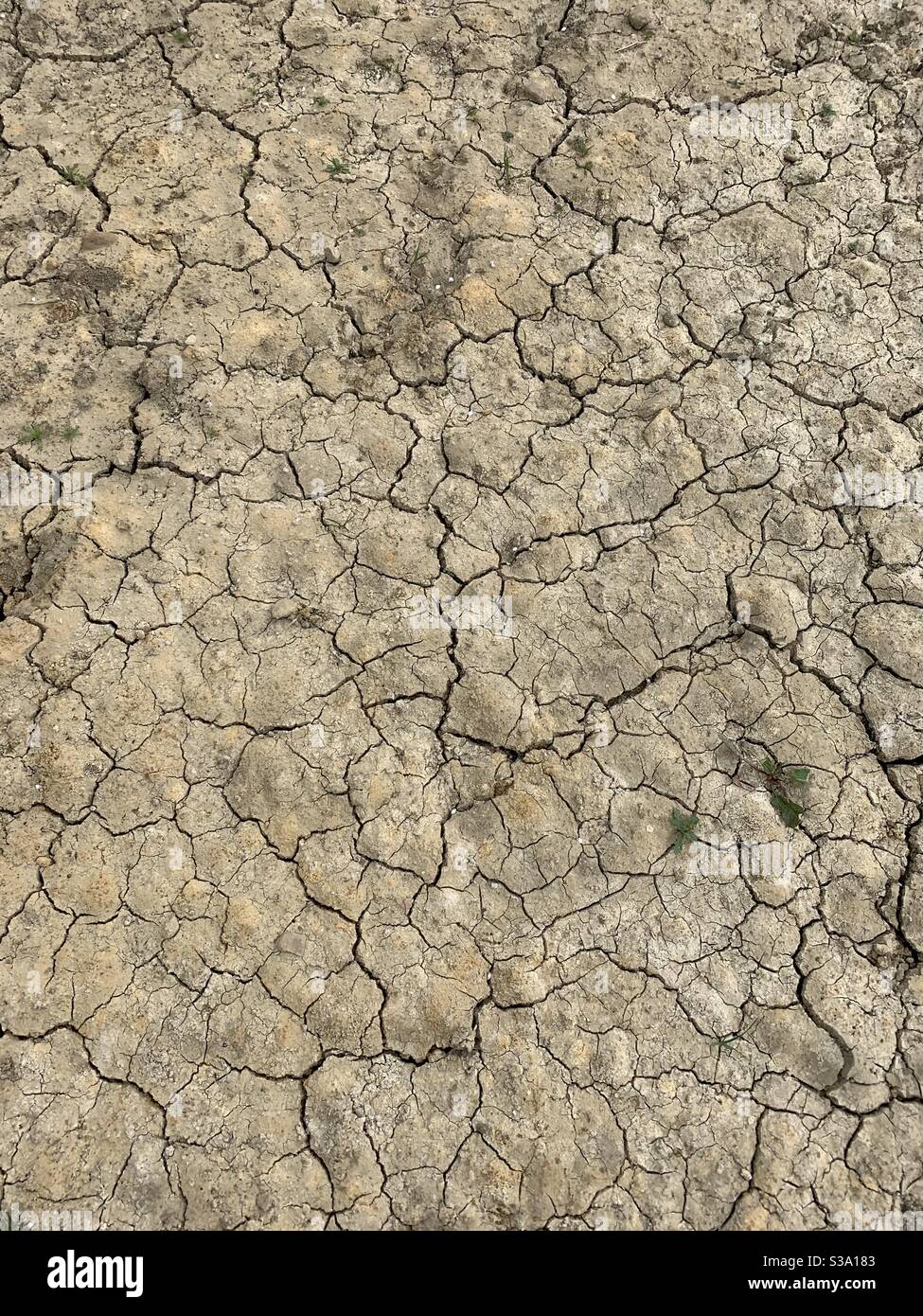 Mud ground hi-res stock photography and images - Alamy