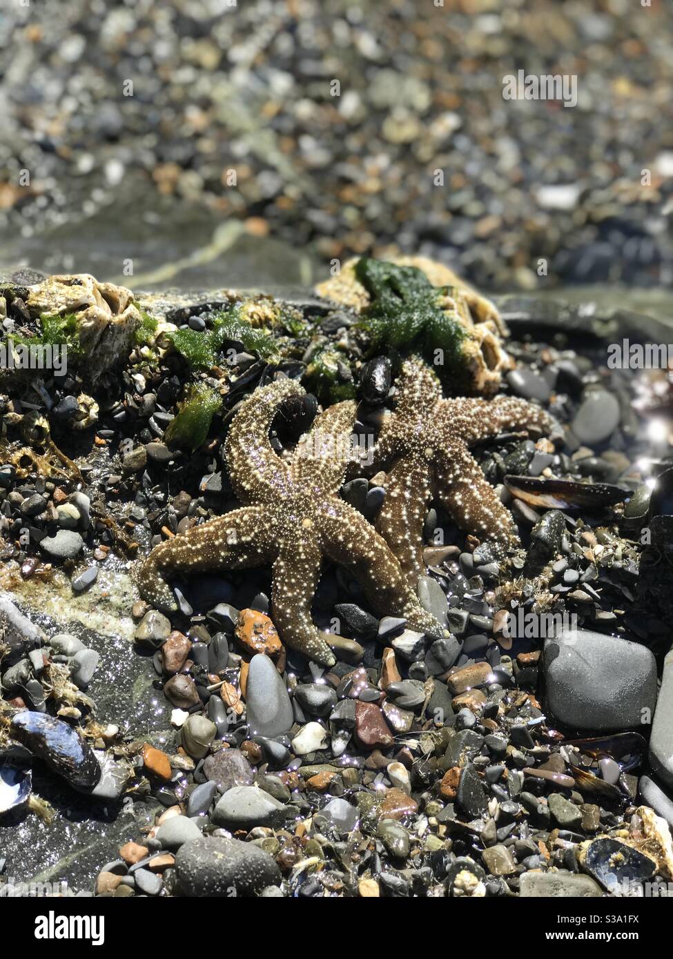 Hoonah alaska hi-res stock photography and images - Alamy