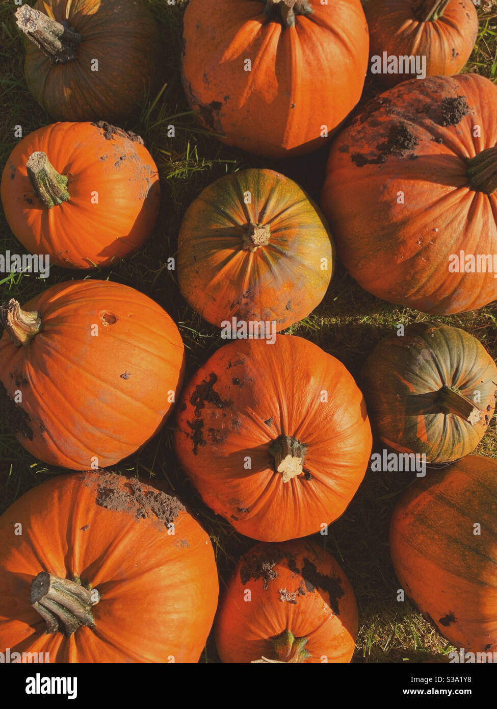 Selection of sizes hi-res stock photography and images - Alamy