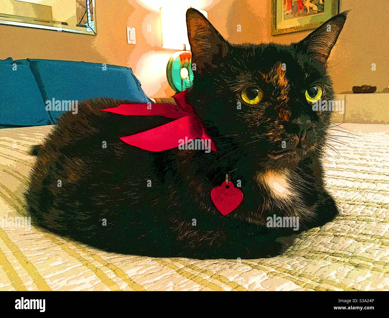 Tortoise shell cat hi-res stock photography and images - Alamy